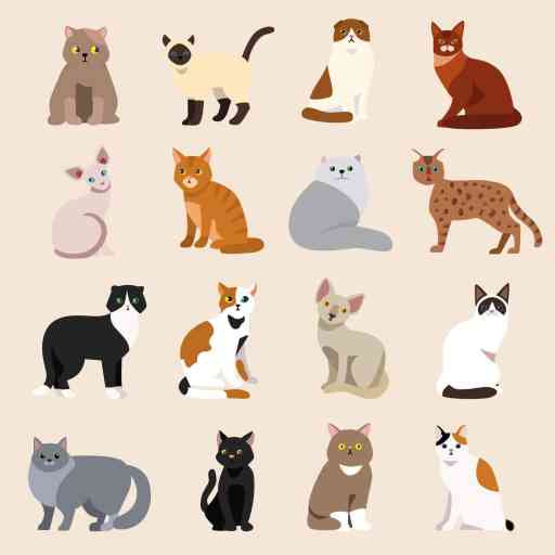Die bunte Welt der Katzen: Eine Übersicht über ihre verschiedenen ... Die bunte Welt der Katzen: Eine Übersicht über ihre verschiedenen ...